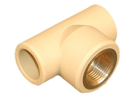 Polymutan: Τάφ Θηλυκό